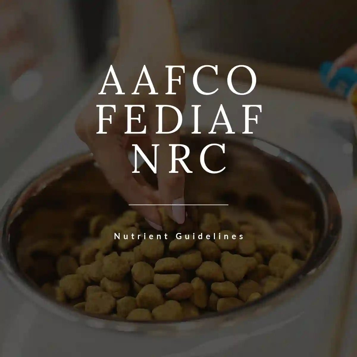 AAFCO, FEDIAF, And NRC Nutrient Guidelines – Harper & Friends