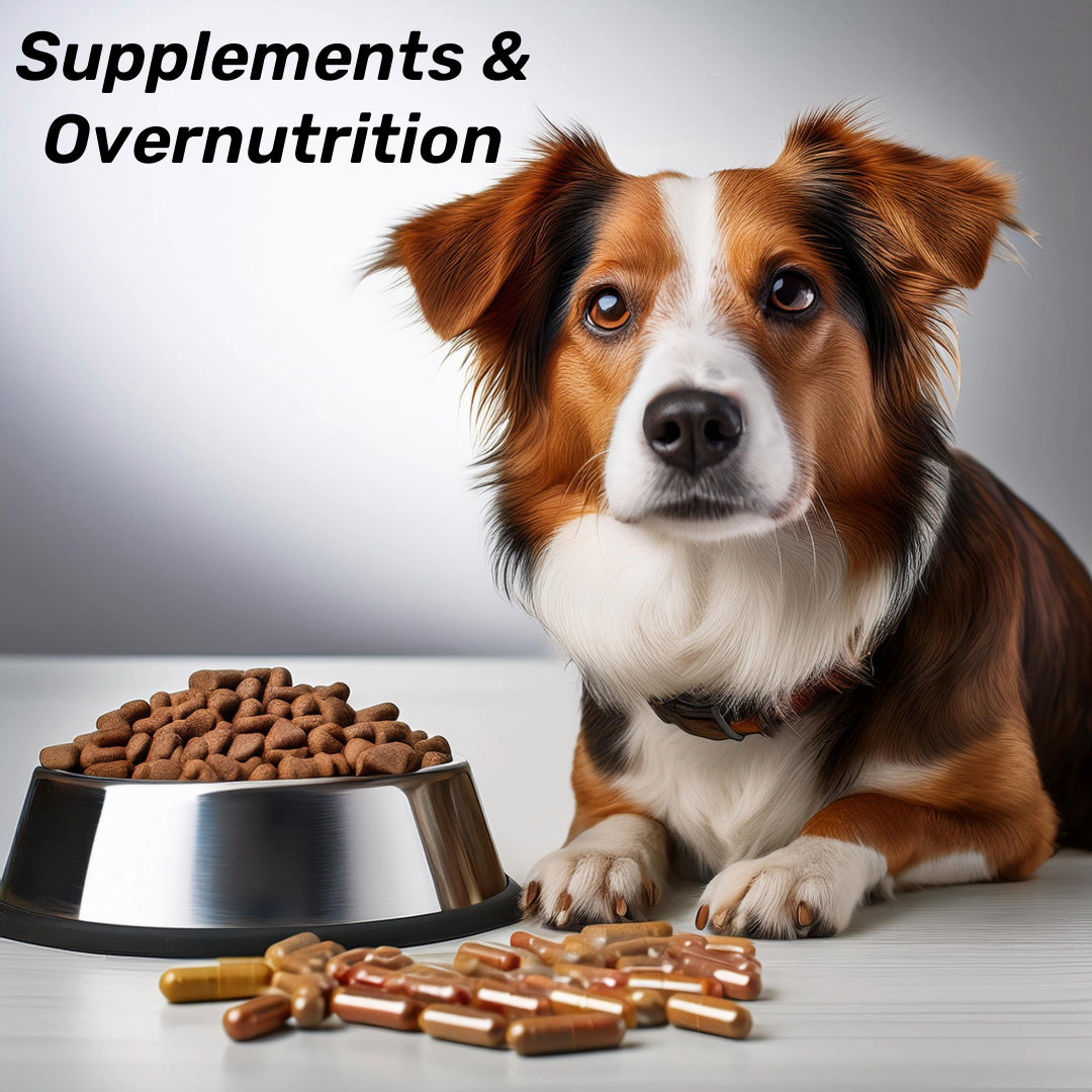 Supplements & Overnutrition: Iodine and Salt – Harper & Friends