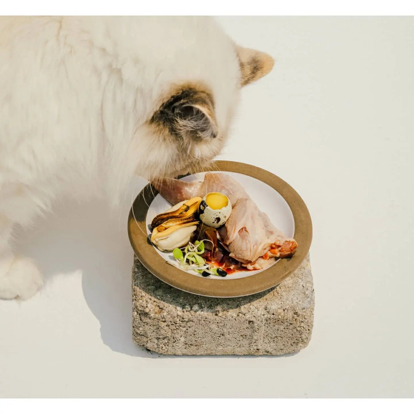 Whole Prey For Dogs And Cats – Harper & Friends