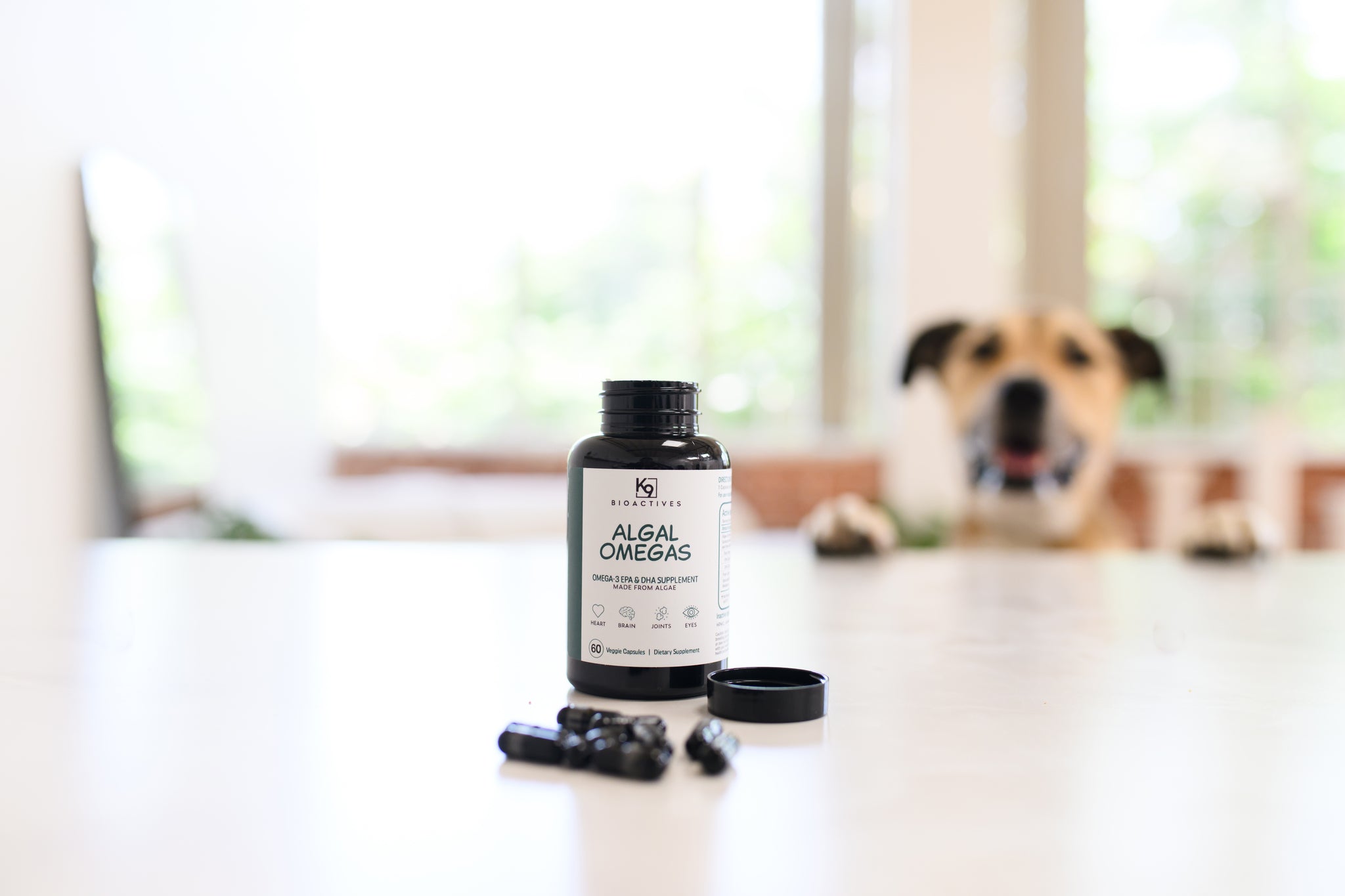 Algal Omegas – Harper & Friends